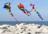 Decorative Windsocks: American, Rainbow, Fish, Rotinis, and other ...